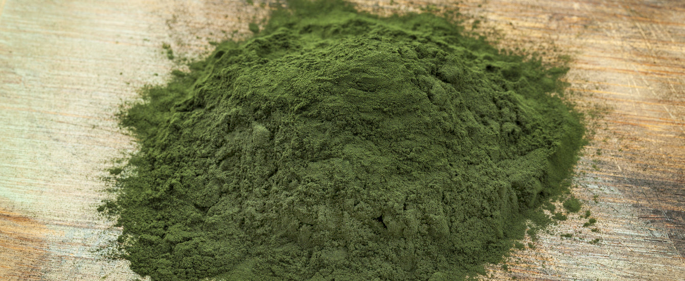 The Power of a Single Ingredient: Organic Wild Microalgae™ – New Earth ...