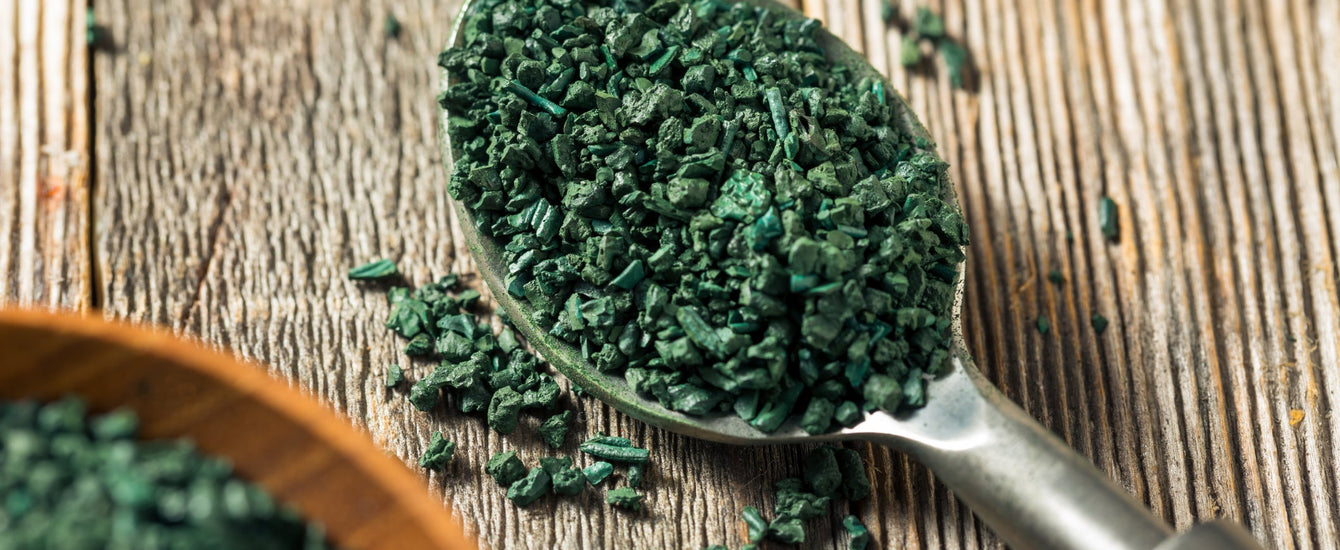 Types of Algae: Spirulina, AFA & More Explained – New Earth Life Sciences