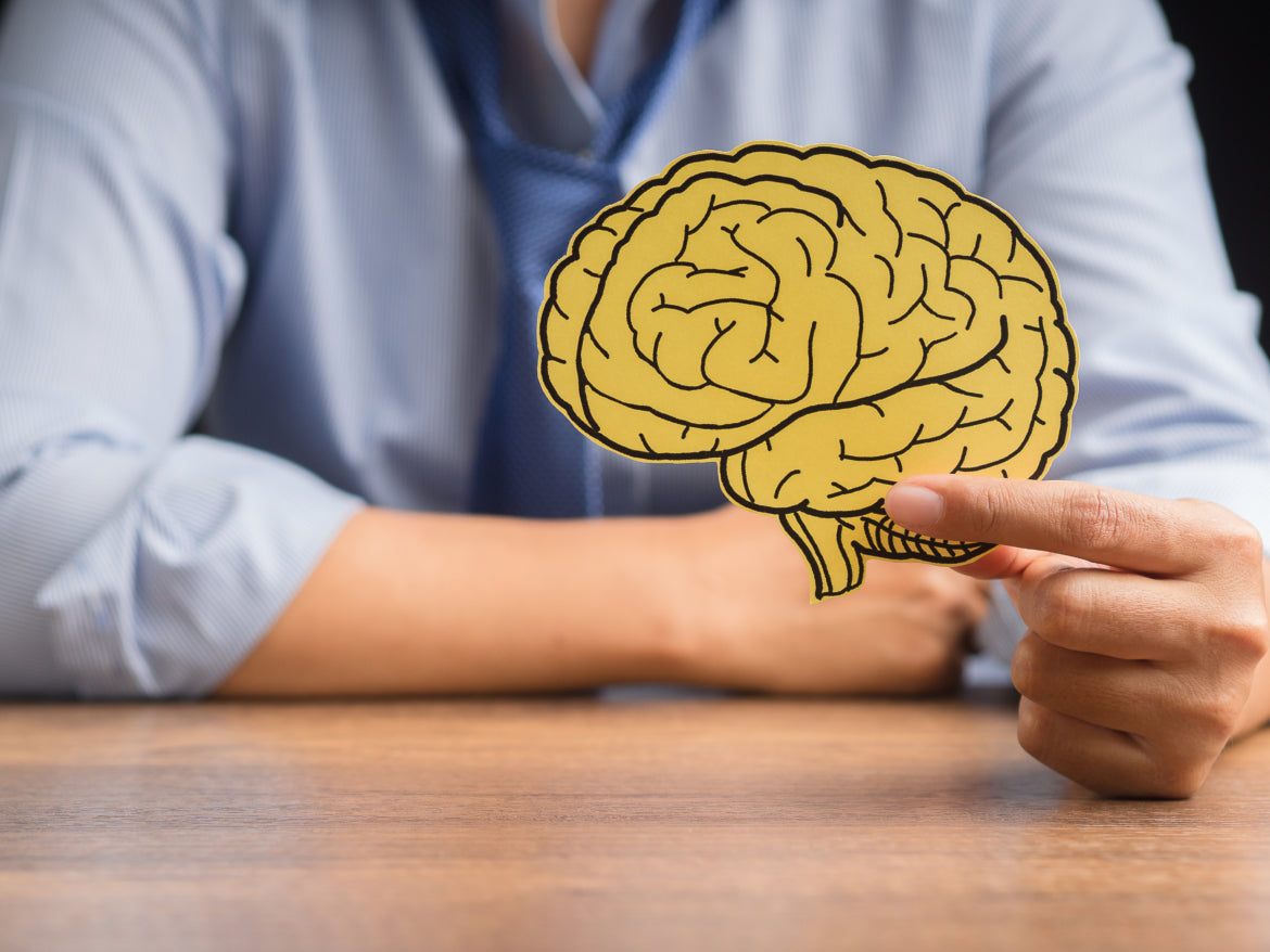 What Happens to Your Brain as You Age – New Earth Life Sciences