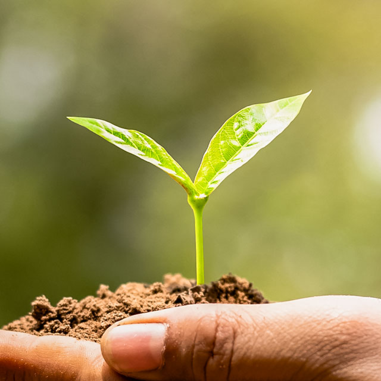 Company – New Earth Life Sciences